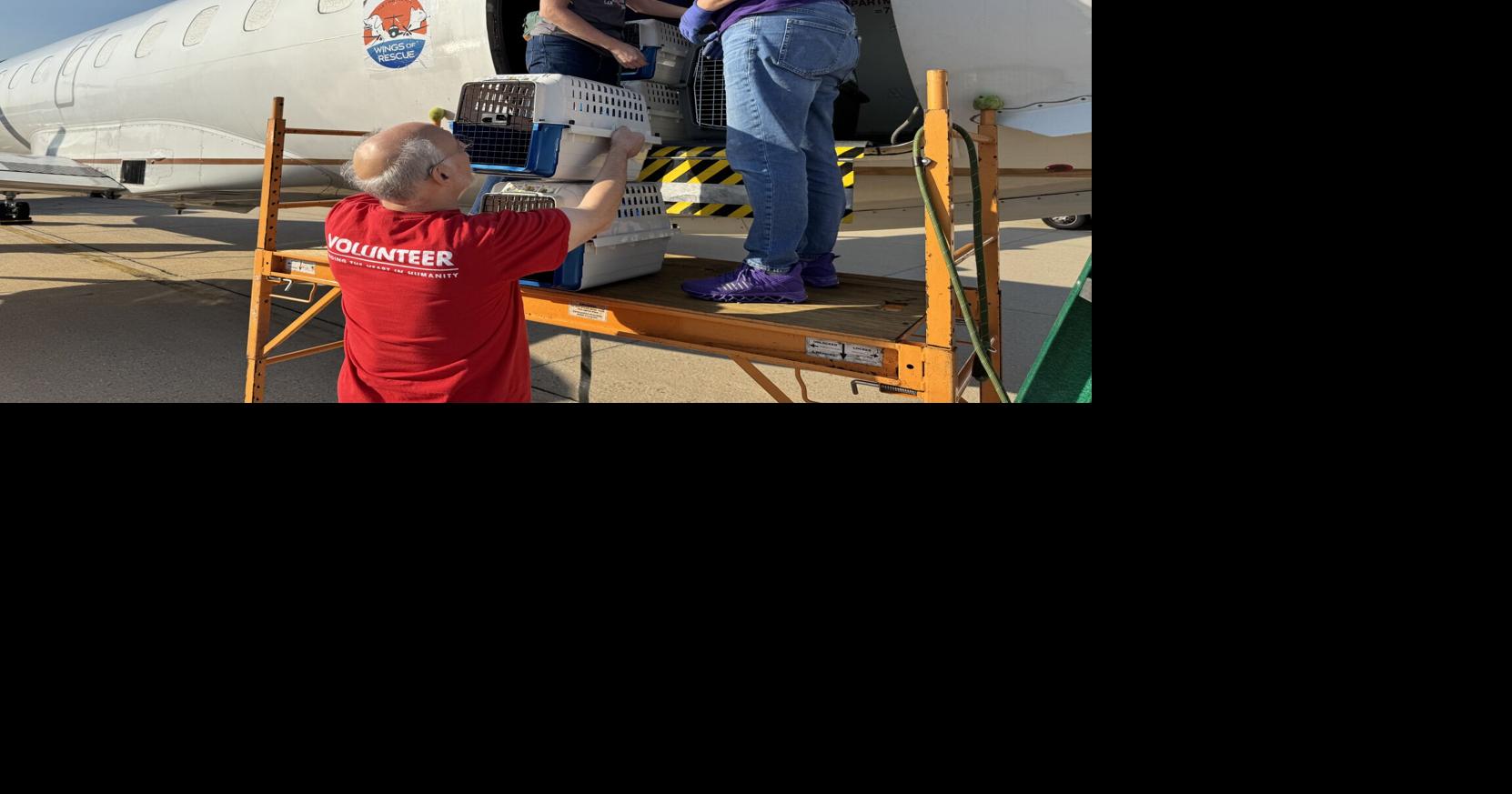 Brandywine Valley SPCA saves over 100 animals from Florida shelters ...
