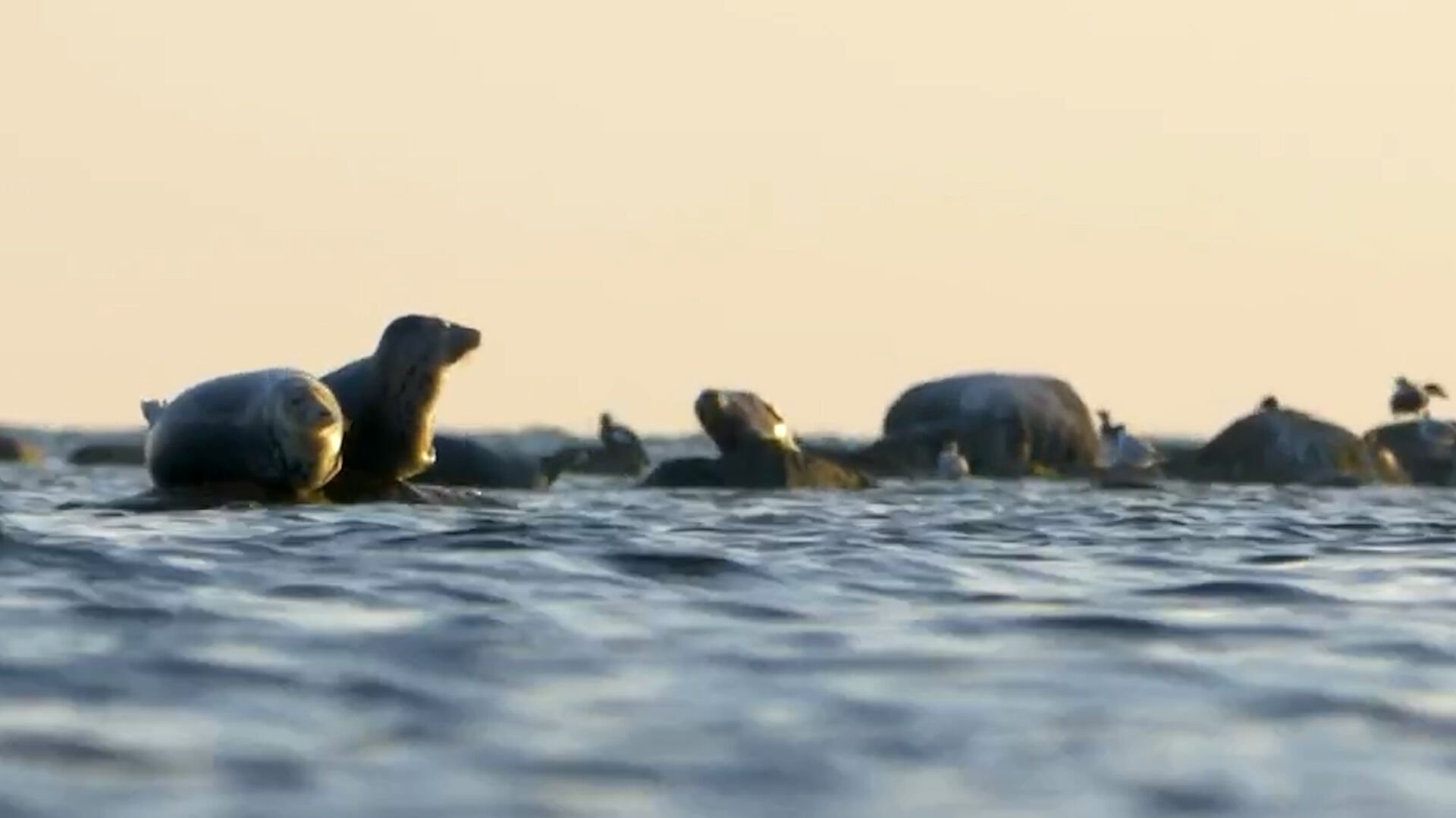 Cool Things to Do Jan. 9-11 | Features | coasttv.com