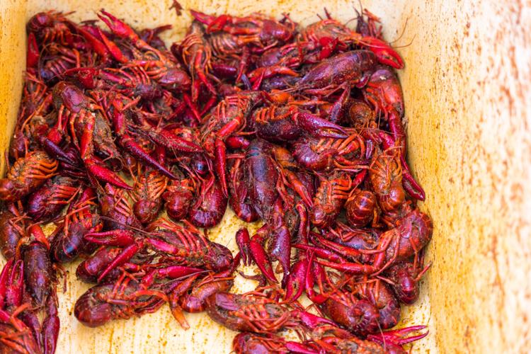Photo Gallery: Rosewood Crawfish Festival draws big crowd with seafood ...