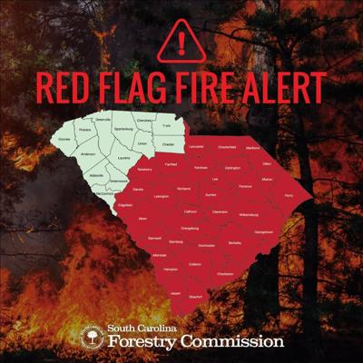 UPDATE: Forestry Commission lifts Red Flag Fire Alert | Communities ...
