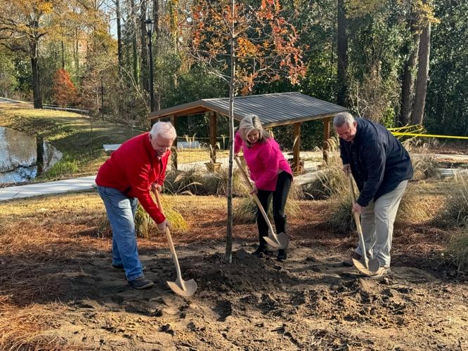 Lexington plants tree dedicated to victims of Hurricane Helene ...