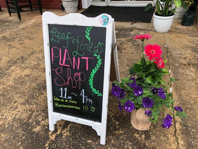 Leaf Lover's Plant Shop opens in Lexington | Business | coladaily.com