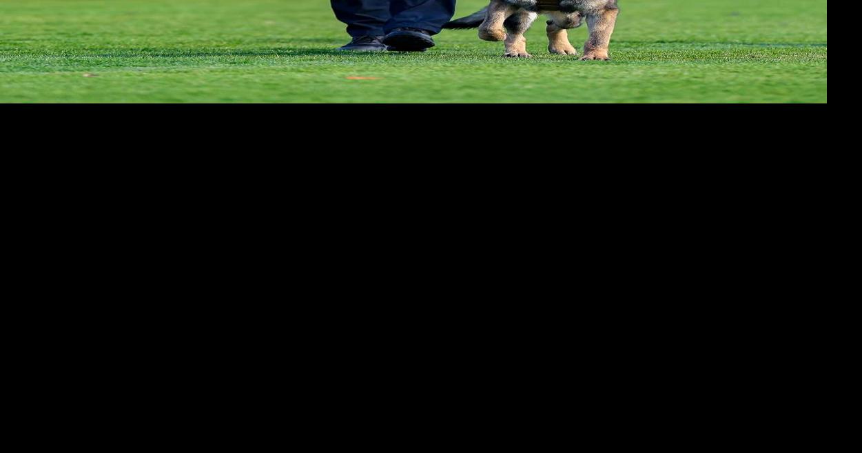 Lexington Police K9 wins skills competition | Communities | coladaily.com