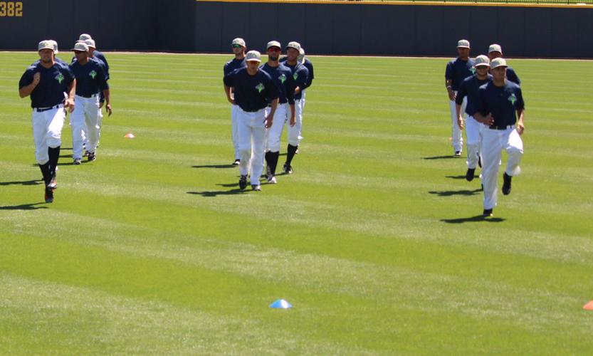 Welcome home: Columbia Fireflies arrive at new stadium | Lifestyle ...