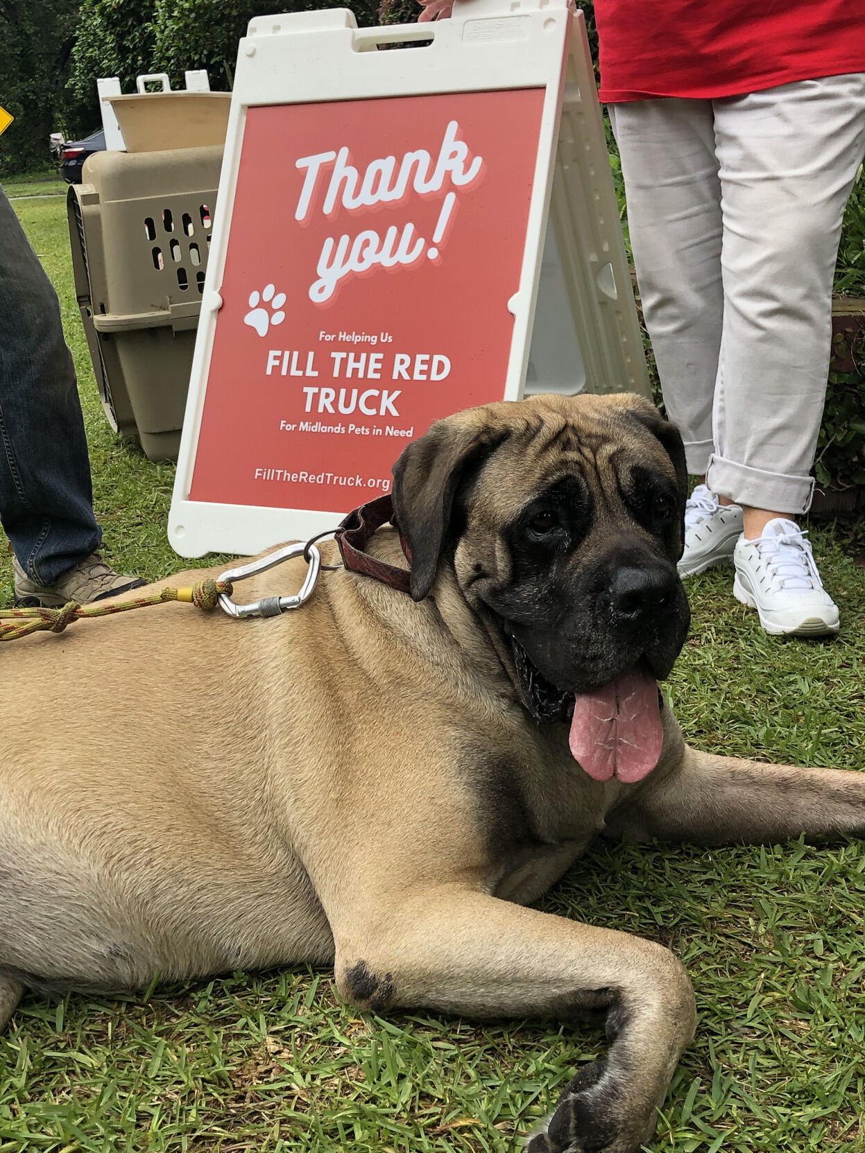 Fill the Red Truck pet supply fundraiser returning to Shandon ...