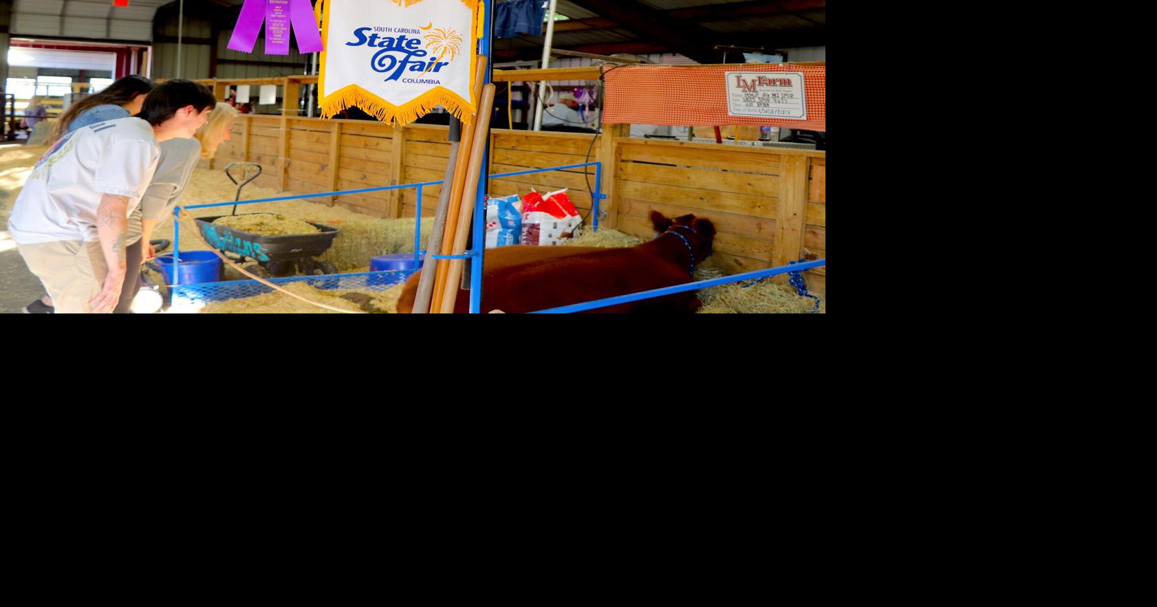 Don't miss out; S.C. State Fair accepting submissions for 2023 ...