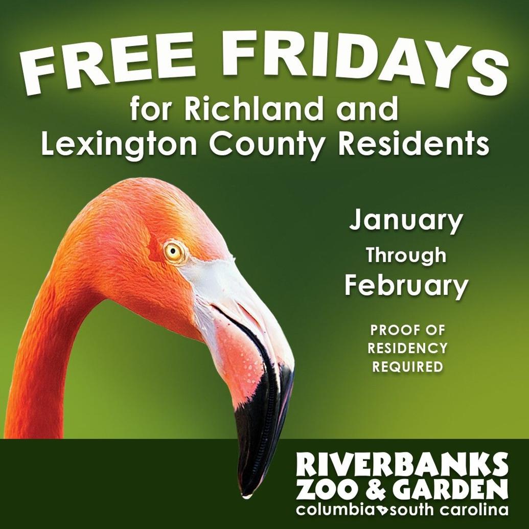 Free Fridays are back at Riverbanks Zoo | Lifestyle | coladaily.com