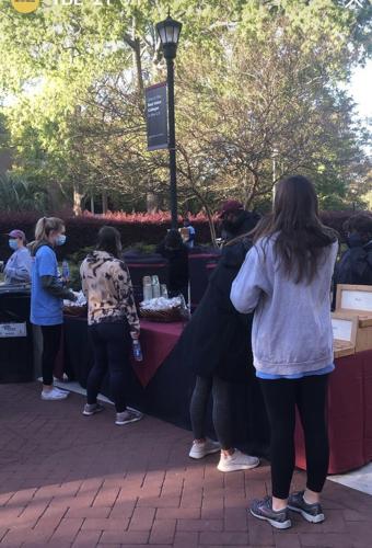UofSC students volunteer in annual day of service | Columbia ...
