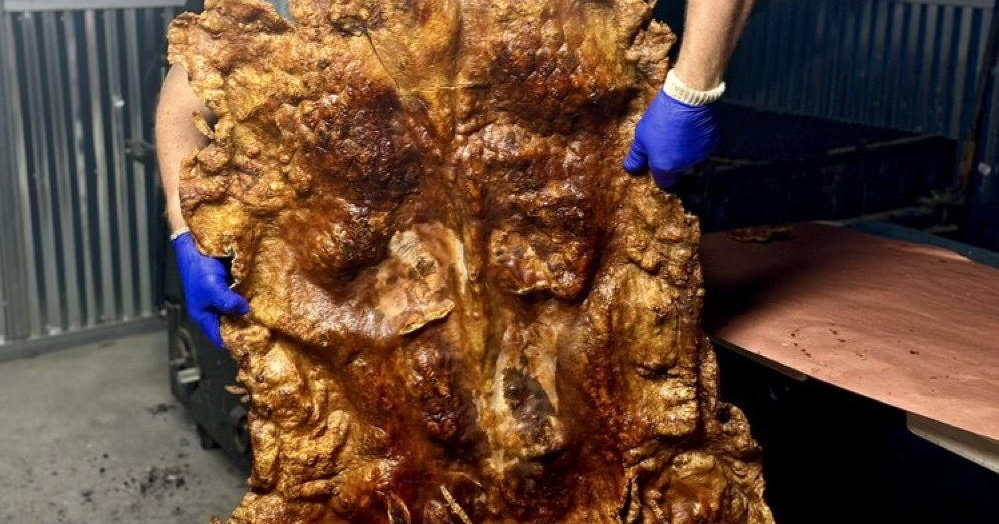 West Columbia chef earns second James Beard Award semifinalist nod ...