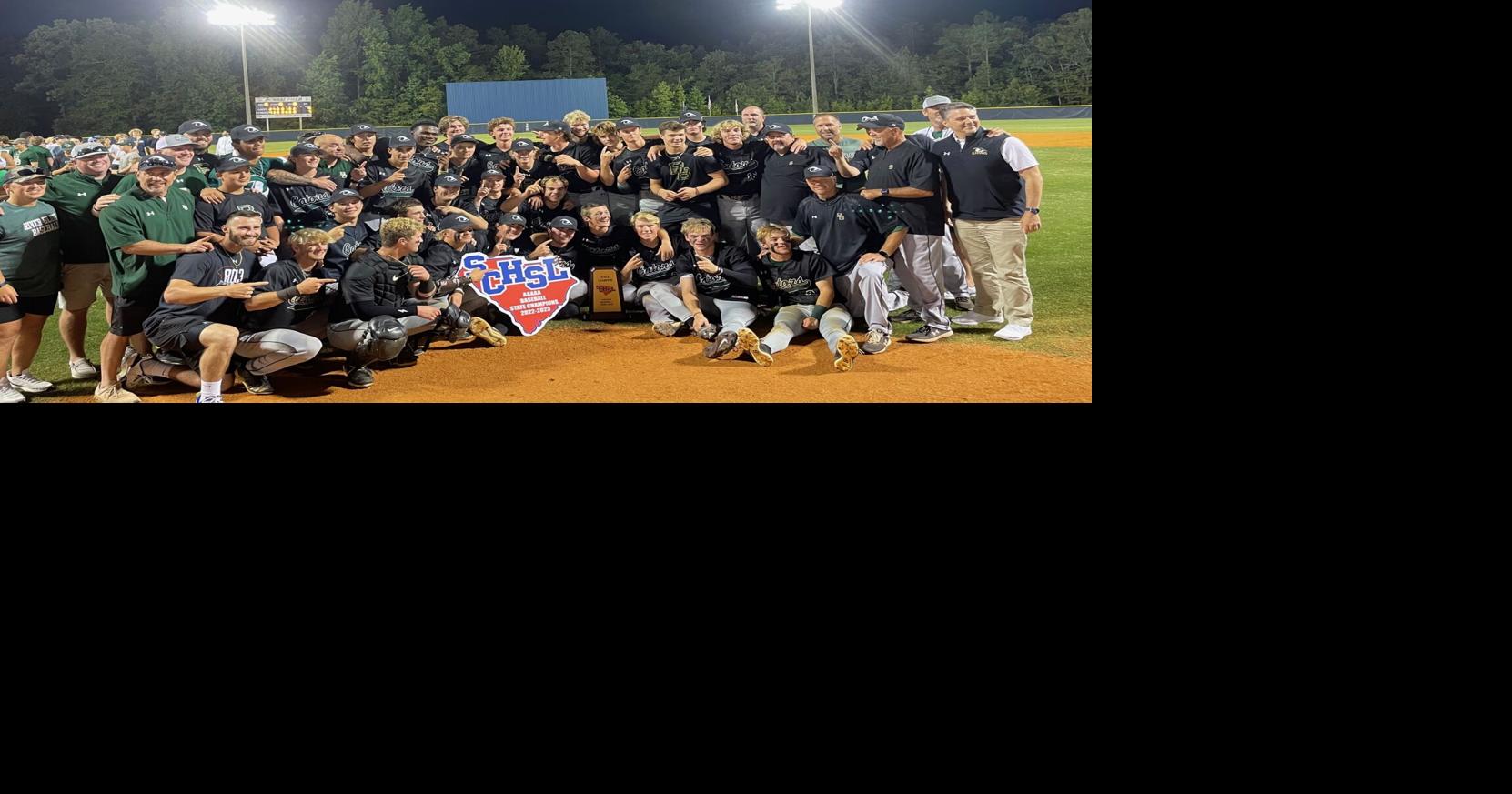 River Bluff 9, Blythewood 7 Class 5A baseball championship | Columbia ...