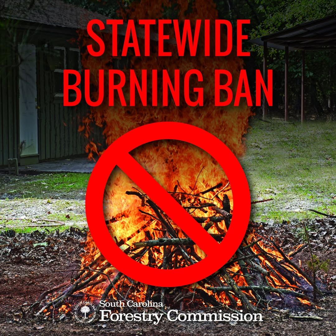 South Carolina Forestry Commission issues statewide burning ban ...
