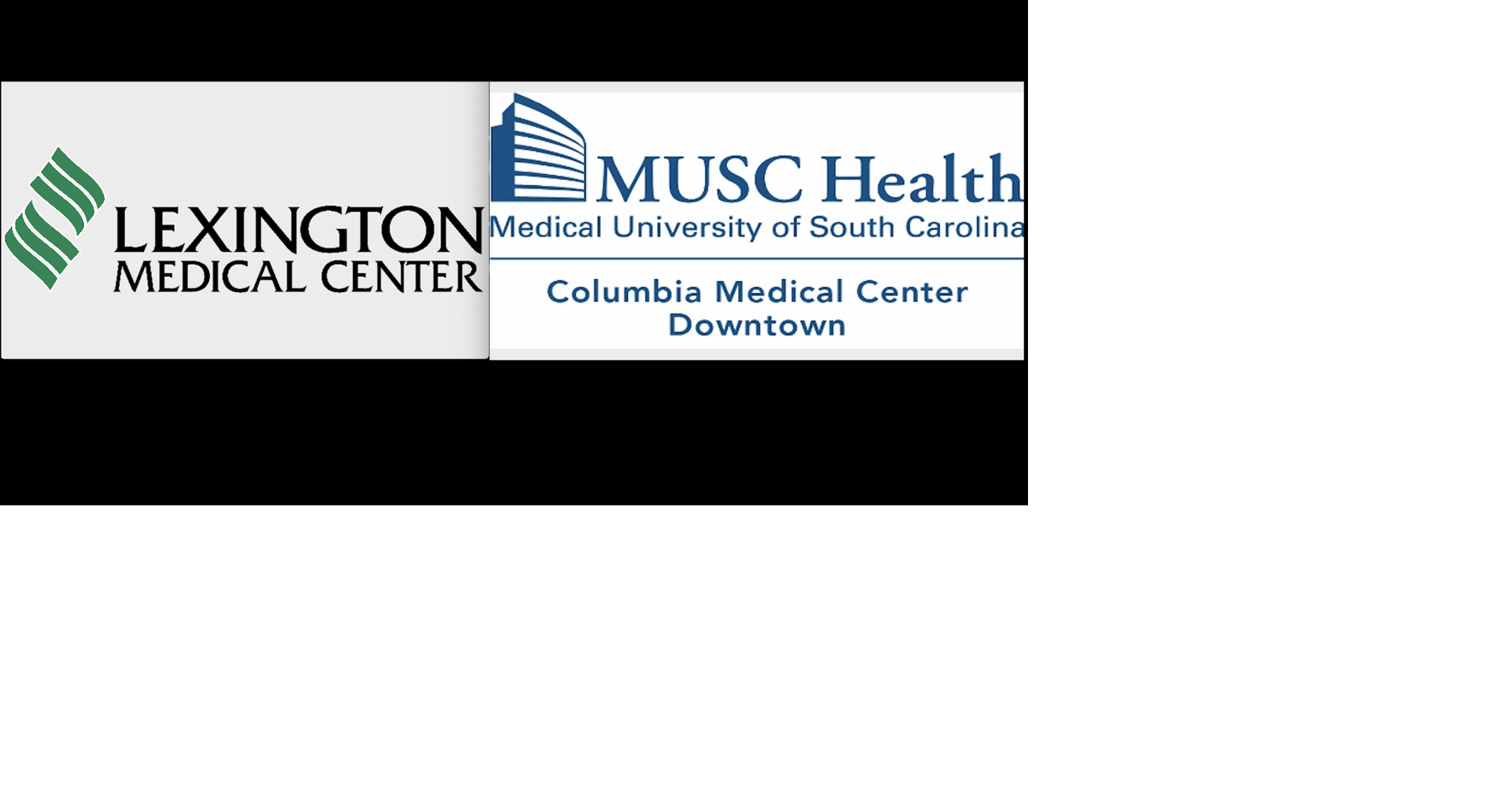 MUSC Health and Lexington Medical spearhead health needs assessment in ...