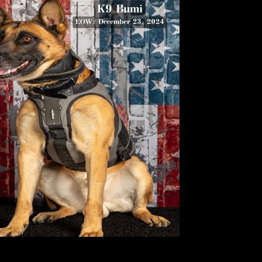 Two Richland County Sheriff's Deputies fired and arrested | Communities ...