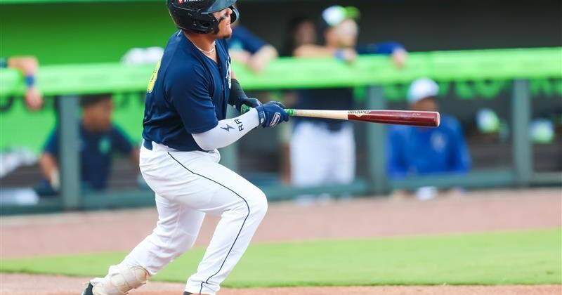 Fireflies fall in final game of Carolina League Championship Series ...