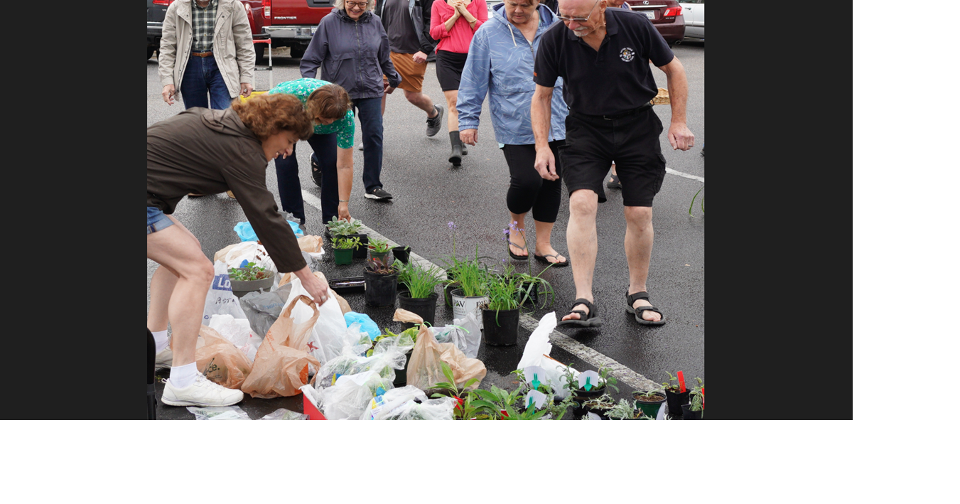 Columbia Garden Club to host free fall plant exchange | Columbia ...