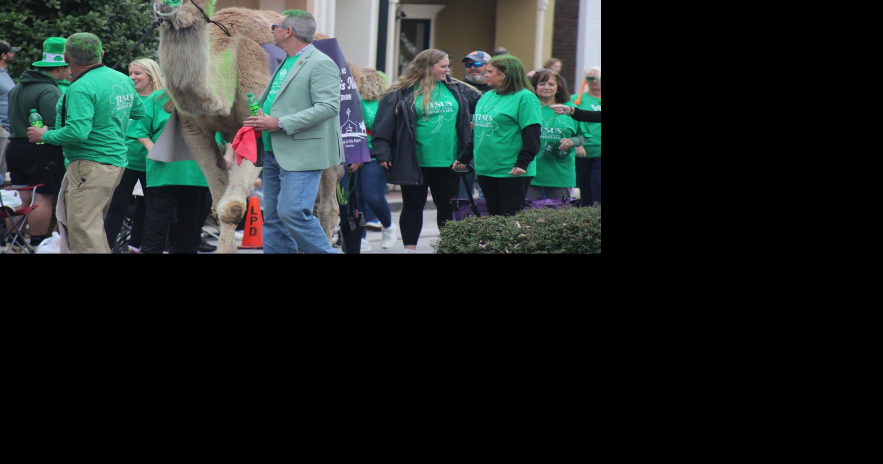 Shamrock Parade made its festive return to Lexington | Lexington ...