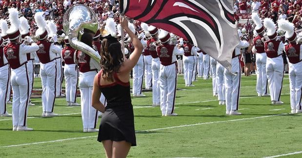 Dawn Staley, Shane Beamer, Darius Rucker donate $25,000 each to help ...