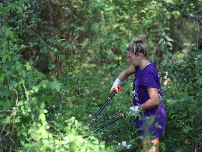 Photo Gallery: CIU, Benedict students unite together in community ...