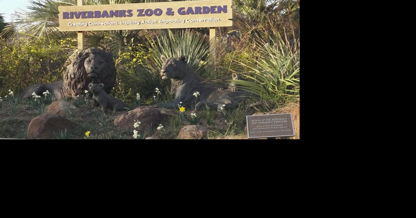 Riverbanks Zoo announces new bird friendly initiative | Batesburg ...