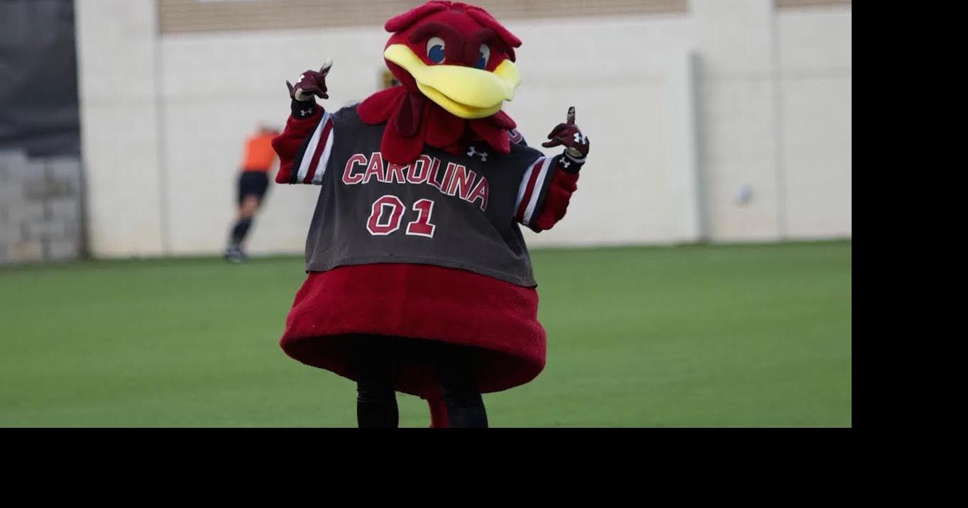 UofSC's mascot Cocky turns 40, former Cockys weigh in on their ...