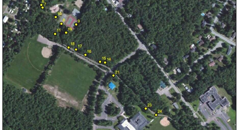 Site for Colchester Recreation Center has no endangered species, but is ...