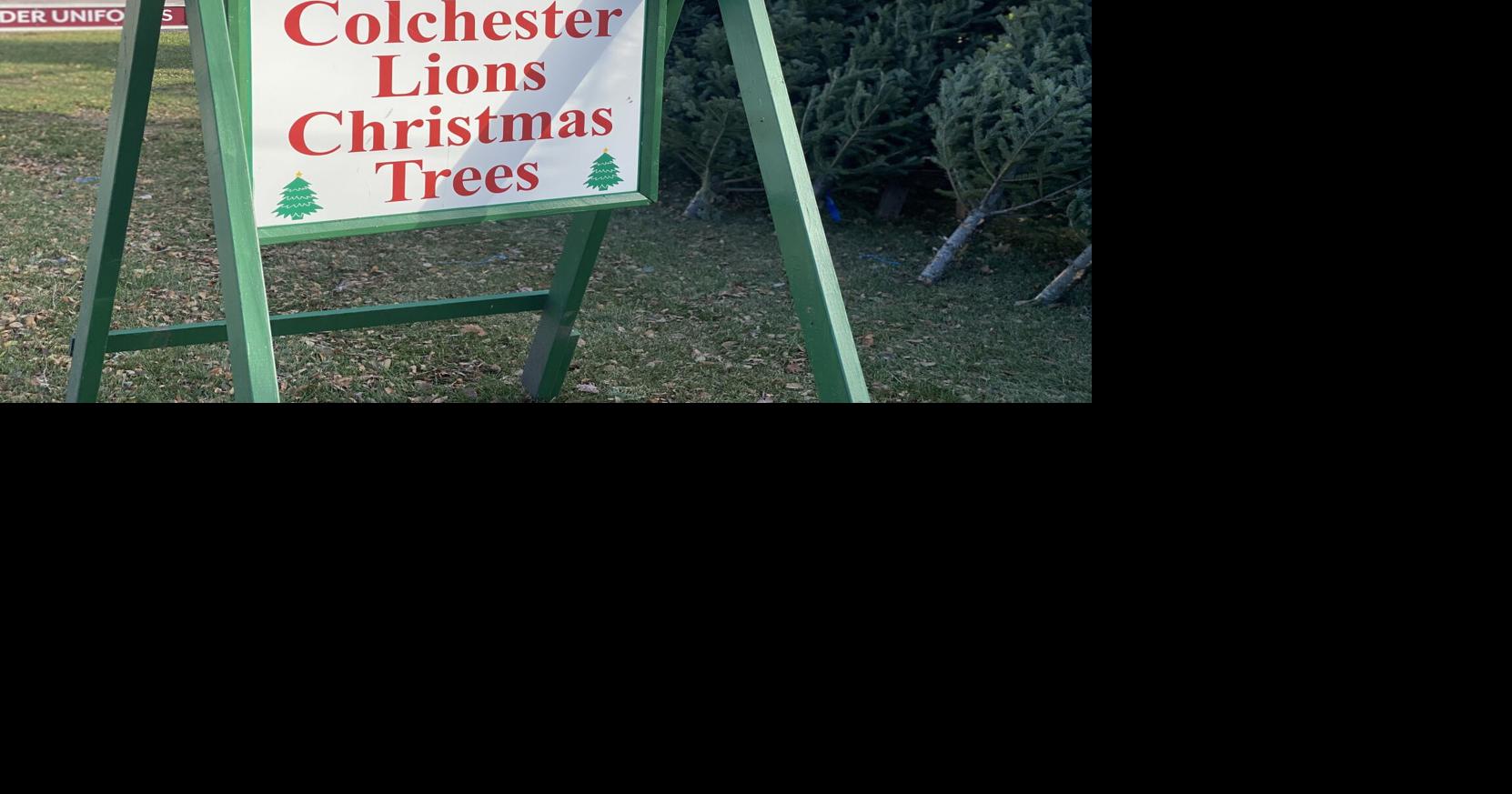 Colchester Lions Club begins annual Christmas tree sale, original ...