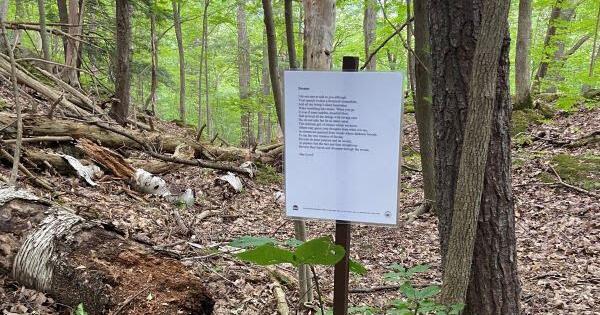 Burnham Library’s Poetry Walk sparks admiration and expression at ...
