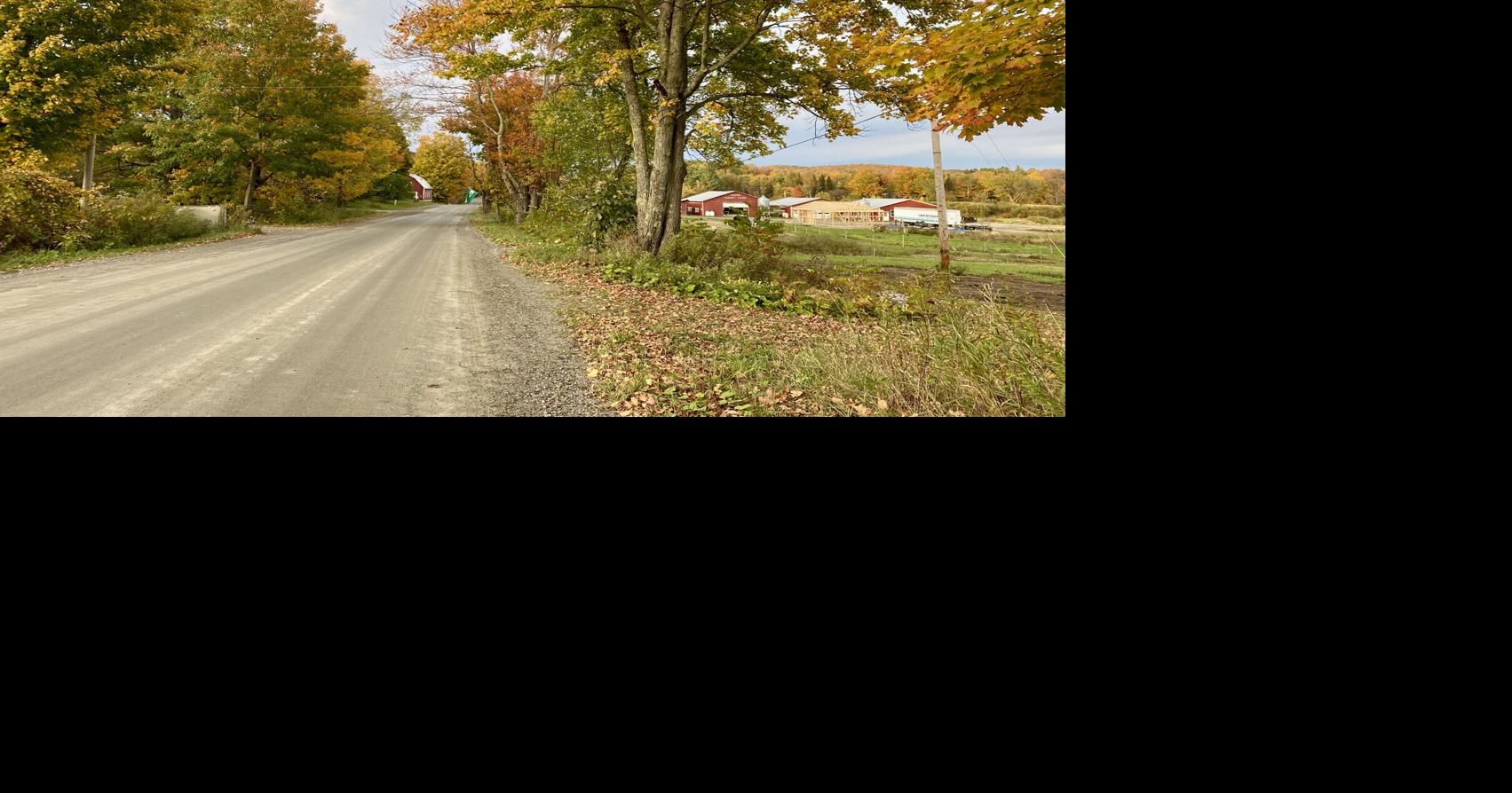 The science of fall foliage and climate change, among Vermont’s maple ...