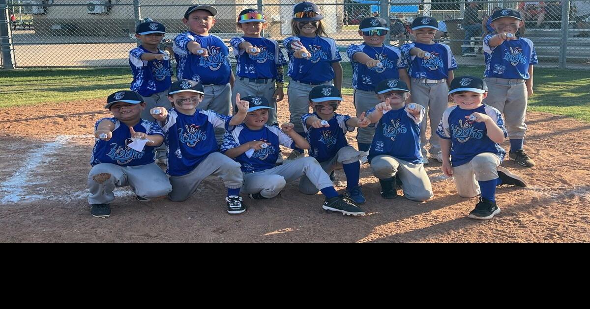 Local 8U and 10U Baseball Teams Qualify for State Tournament | Sports ...