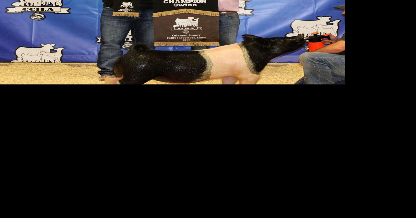 Farley and Edington Exhibited Grand and Reserve Grand Champion Swine ...