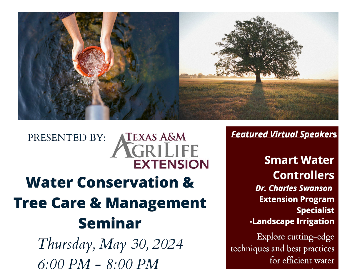 Water Conservation and Tree Care Program | Calendar | colemantoday.com