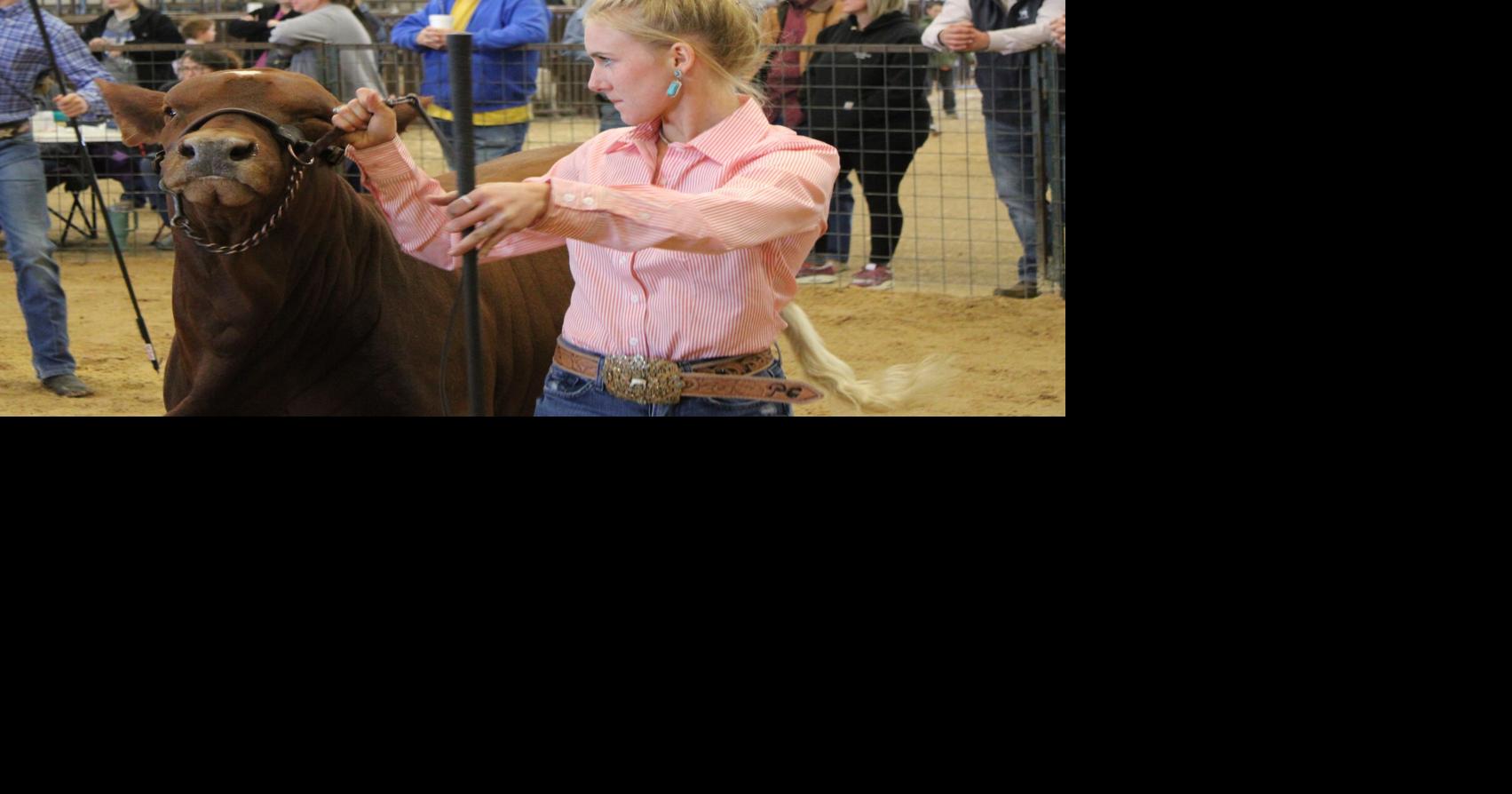 Garretts Show Grand and Reserve Champion Heifers at CCJL Show | News ...