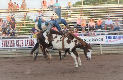 Coleman Rodeo Leaderboard After Friday Night Performance | News ...
