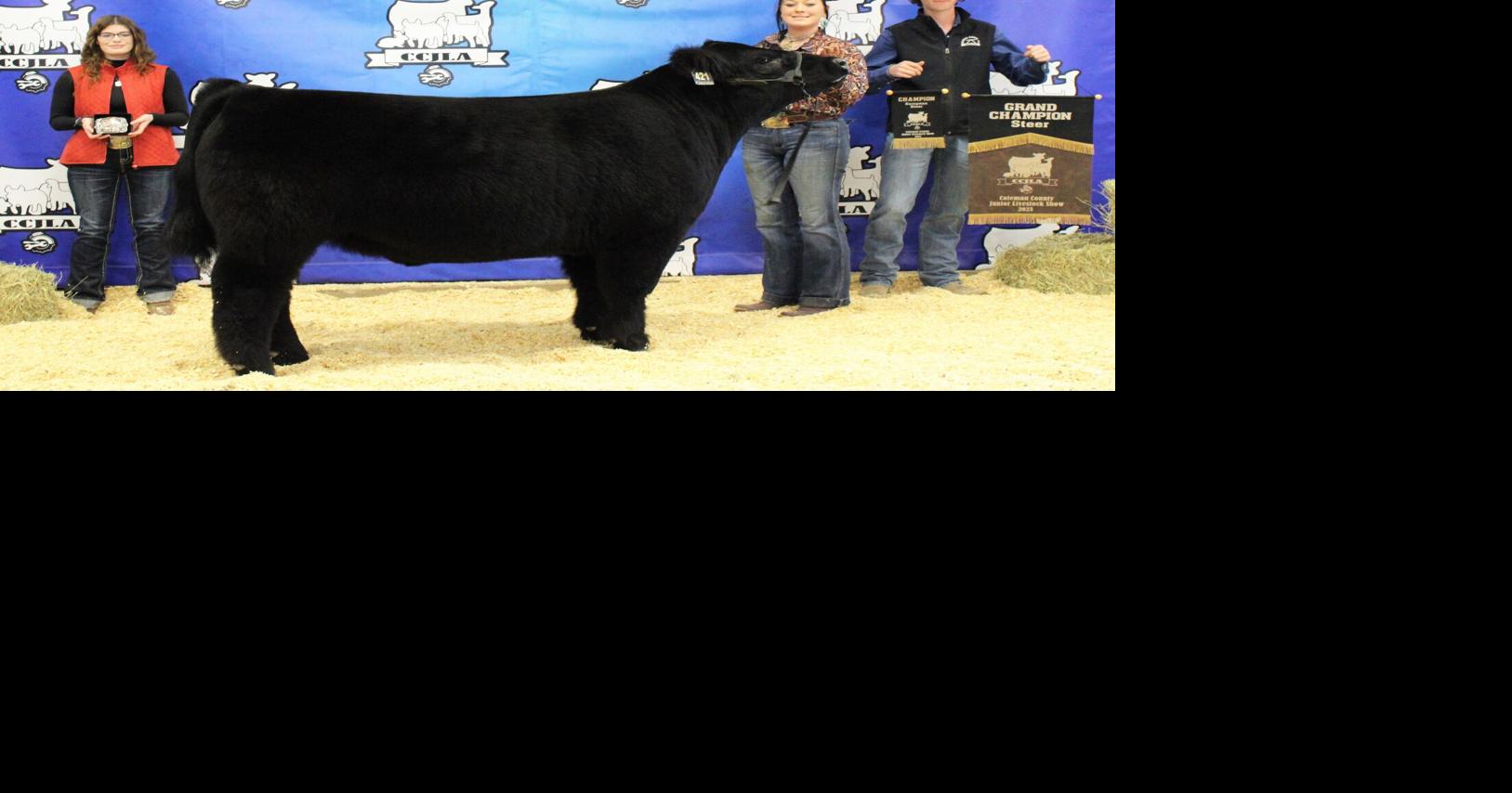 Turner and Wardlow Take Top Two Prizes in Steer Show | News ...