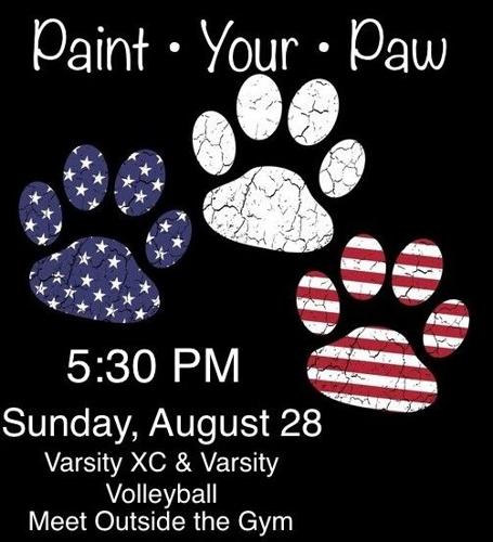 Volleyball and Cross Country Paw Painting Sunday | Sports ...