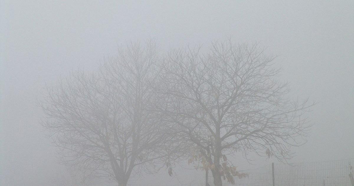 Dense Fog Warning for Our Area | Weather | colemantoday.com
