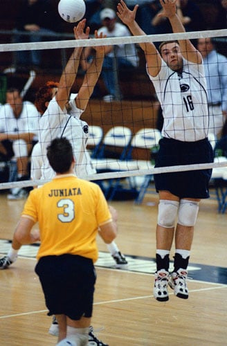 Steve Aird - Alchetron, The Free Social Encyclopedia