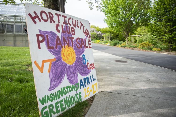 Horticulture Club Plant Sale | Gallery | collegiatetimes.com