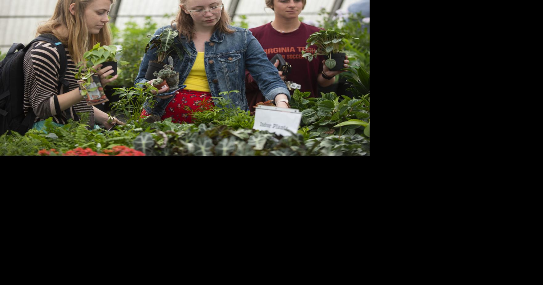Horticulture Club Plant Sale | Gallery | collegiatetimes.com