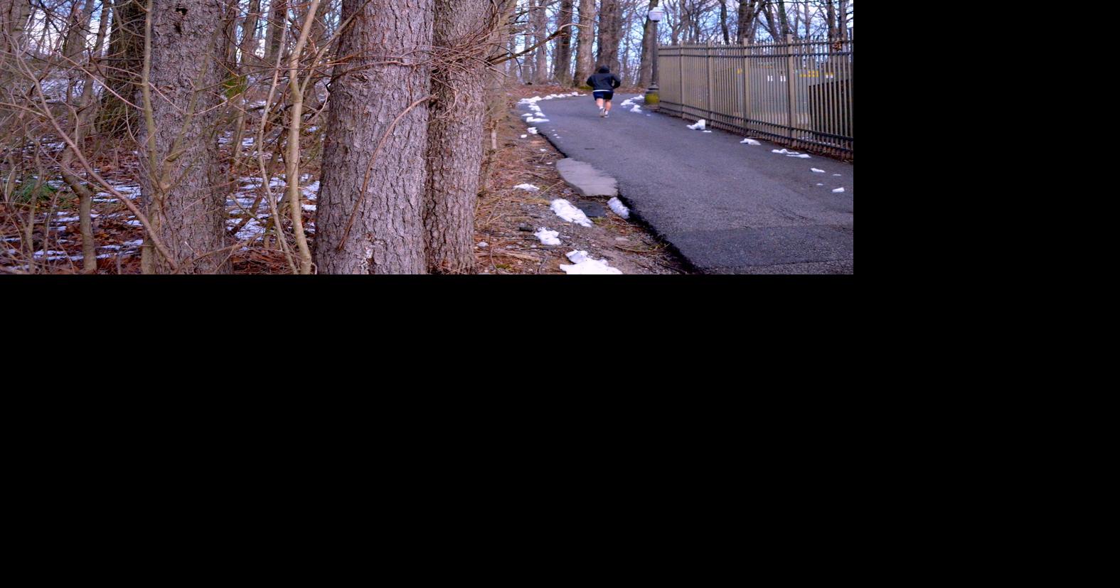 Getting rooted in the spring | Lifestyles | collegiatetimes.com