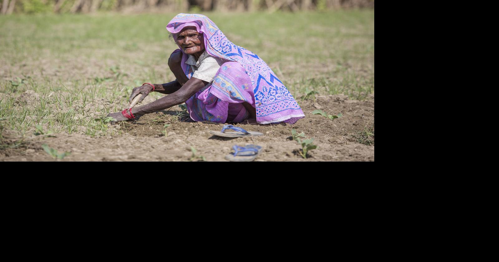 Cultural assumptions neglect uniqueness of different cultures ...