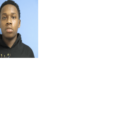 Belleville Man Treveon J. Ramsey Is Sentenced To 20-Years For Metro ...