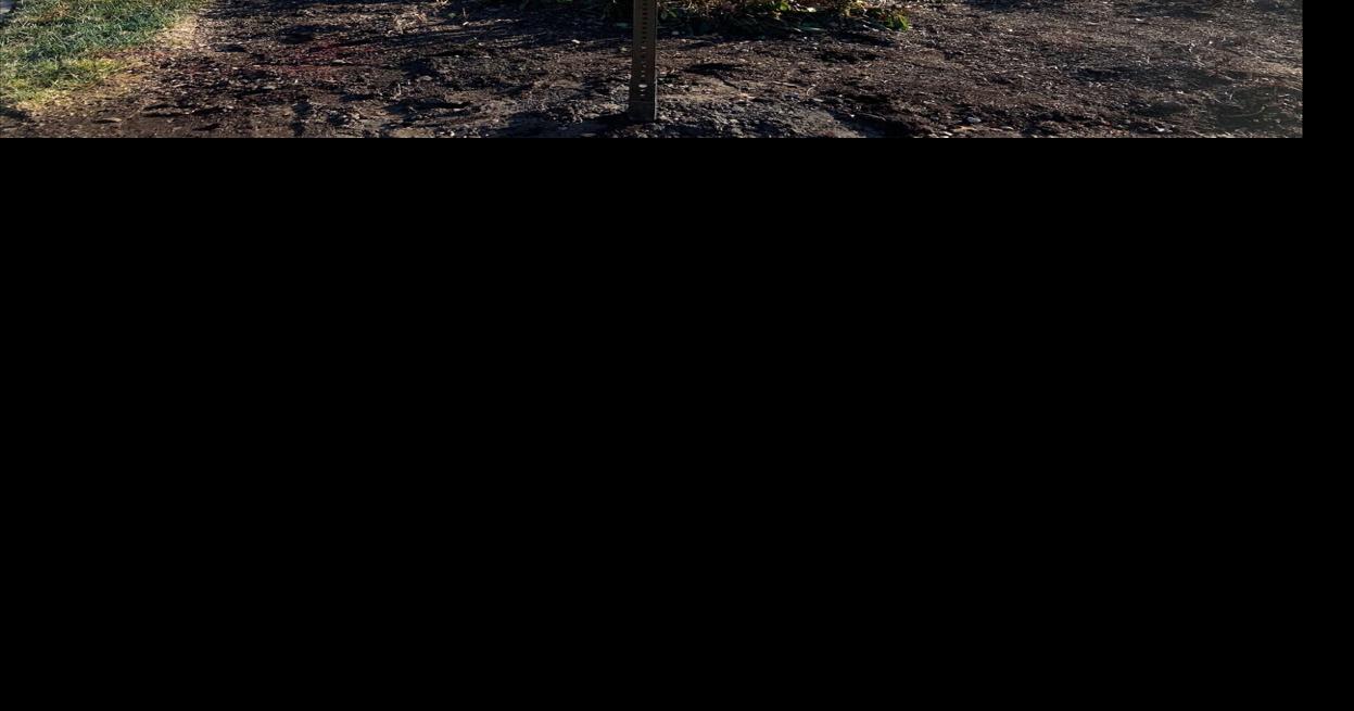 MCT Enhances Rider Experience with New Bus Stop Technology | News ...