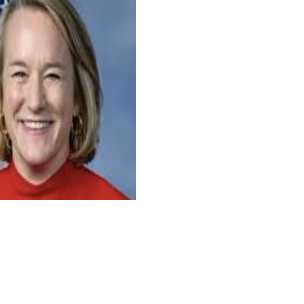 Budzinski Announces $450,000 for St. Louis Downtown Airport In Cahokia ...