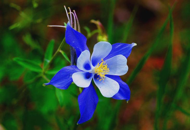 PHOTOS: Quintessential Colorado | Life | coloradosprings.com
