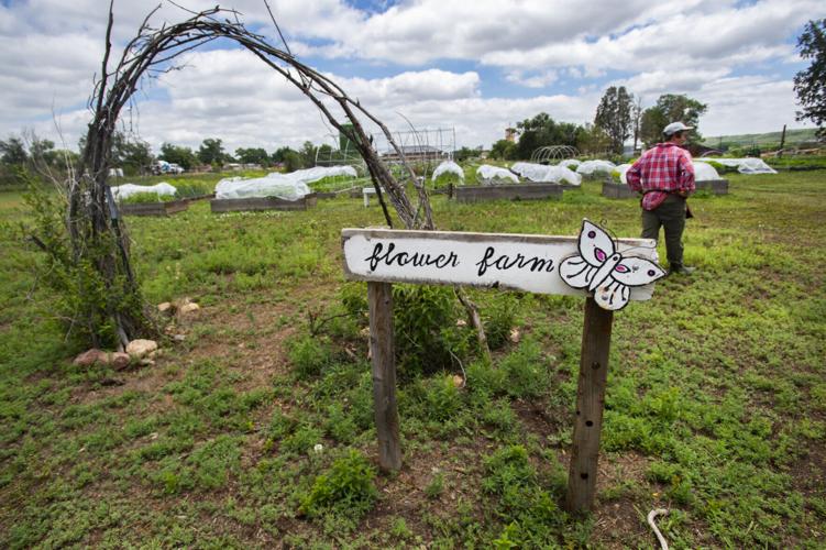 Dream come true: 3 sisters open flower farm on historic Venetucci ...