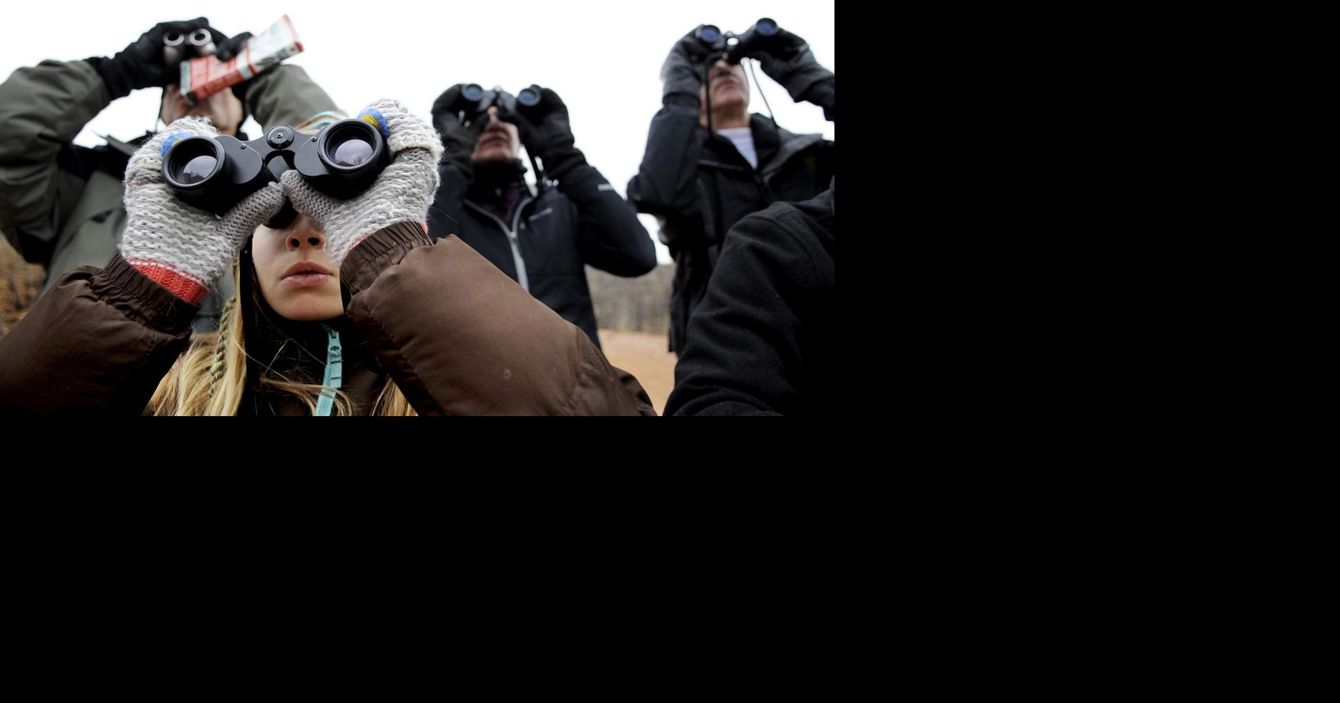 Colorado Springs Christmas Bird Count volunteers trek, drive miles to ...