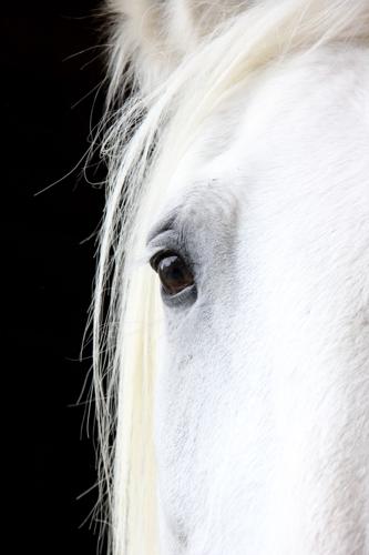 PHOTOS: Quintessential Colorado | Life | coloradosprings.com