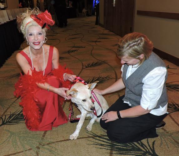 AROUND TOWN: 'Dogfather's' Fur Ball evening raises record amount for ...