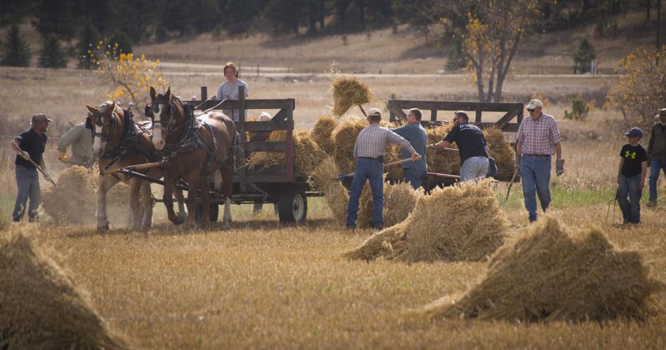 The Country Life: Colorado rancher opens door to farming's past with ...